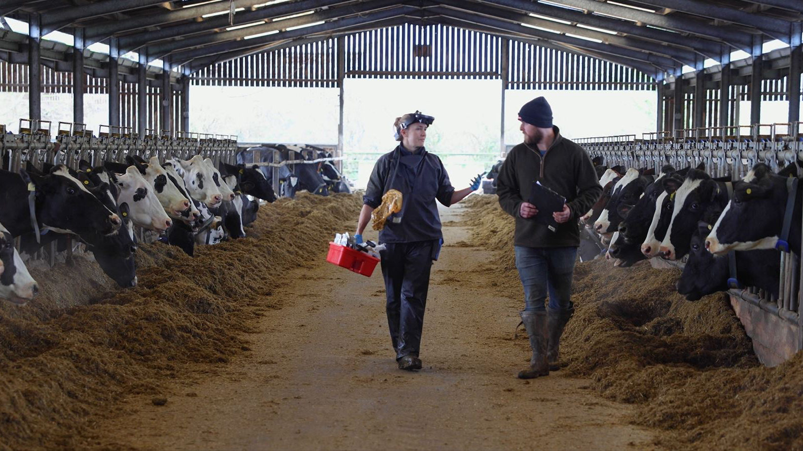 Farm Animal Practice | Langford Vets