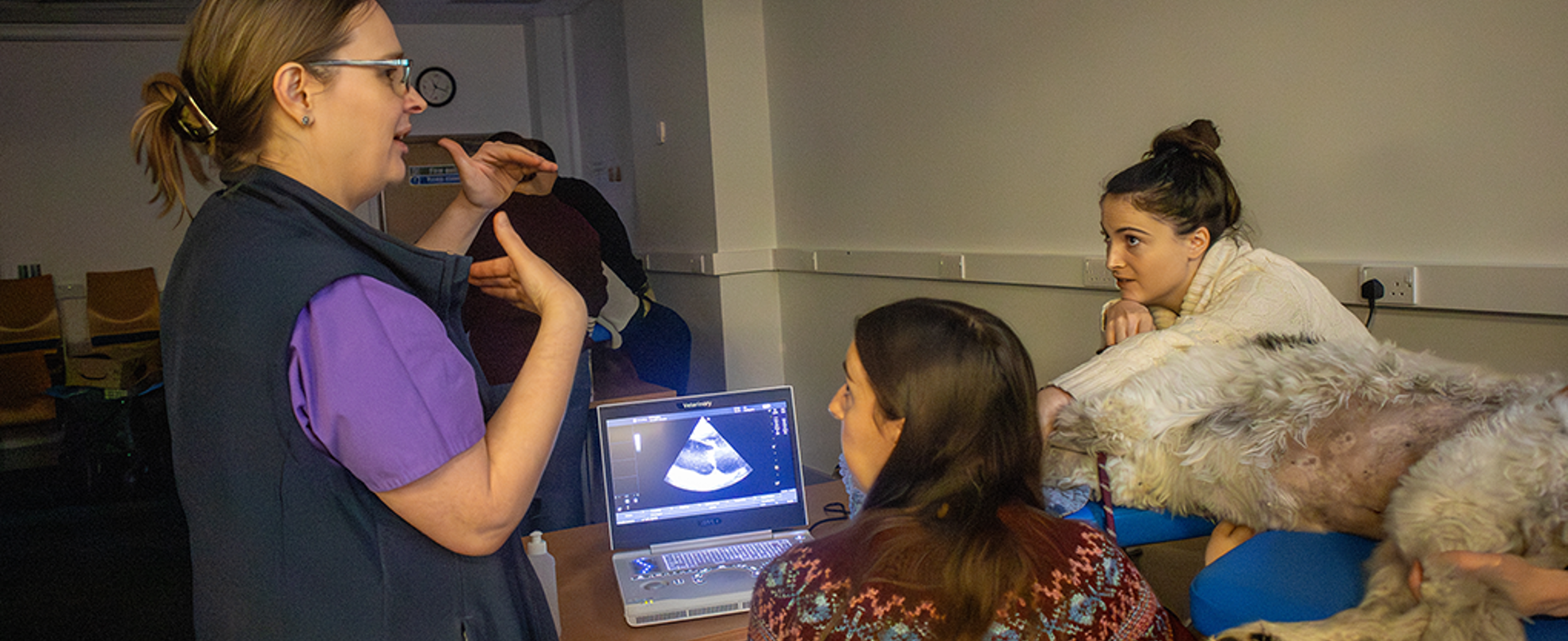 Recent Graduate Scheme: Practical Days - Dec 2025 | Langford Vets