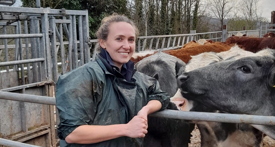 Events and Webinars | Langford Vets