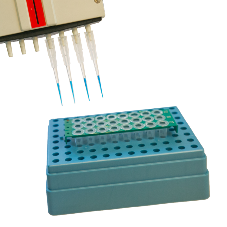 Diagnostic Testing | Langford Vets